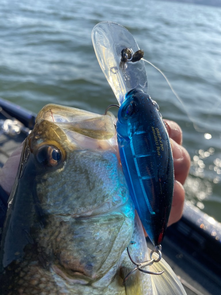 プロガイド杉村和哉の「DEEP-X300」を琵琶湖で完全にハメるテクニック解説 | 釣りの総合ニュースサイト「LureNewsR（ルアーニュース アール）」