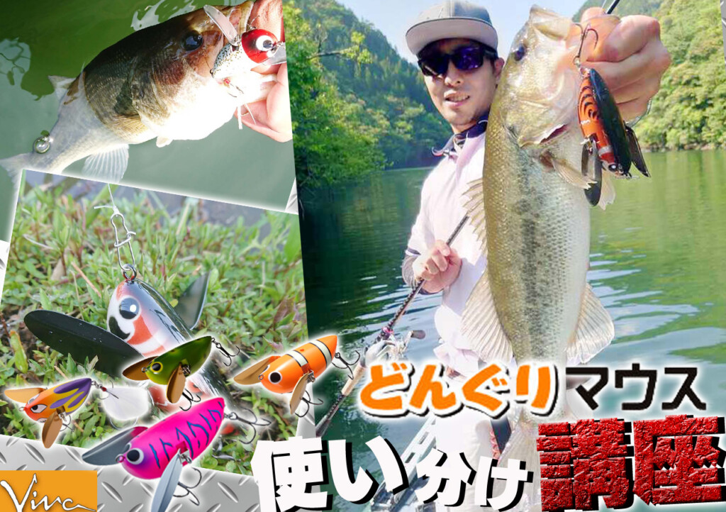 羽根モノが楽しい季節に】藤井春平のViva“どんぐりマウス 羽根モノが楽しい季節に】藤井春平のViva“どんぐりマウス